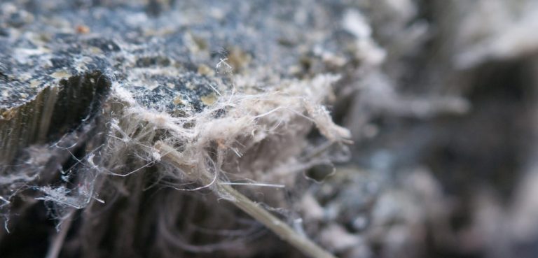 What Are The Risks Associated With Asbestos In A Fire? – RM Risk ...